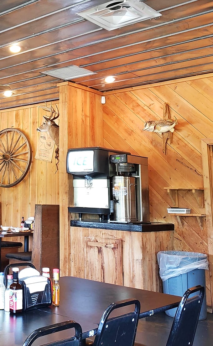 Even the drink station has character – that mounted fish watching over your sweet tea refill is pure South Georgia charm.