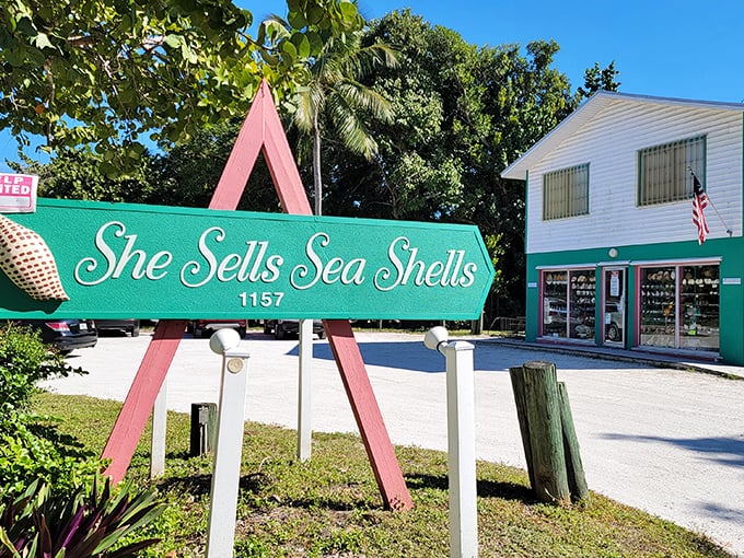 "She Sells Sea Shells"—the most truthful advertising in Florida. A tongue-twister turned into retail therapy for shell enthusiasts.