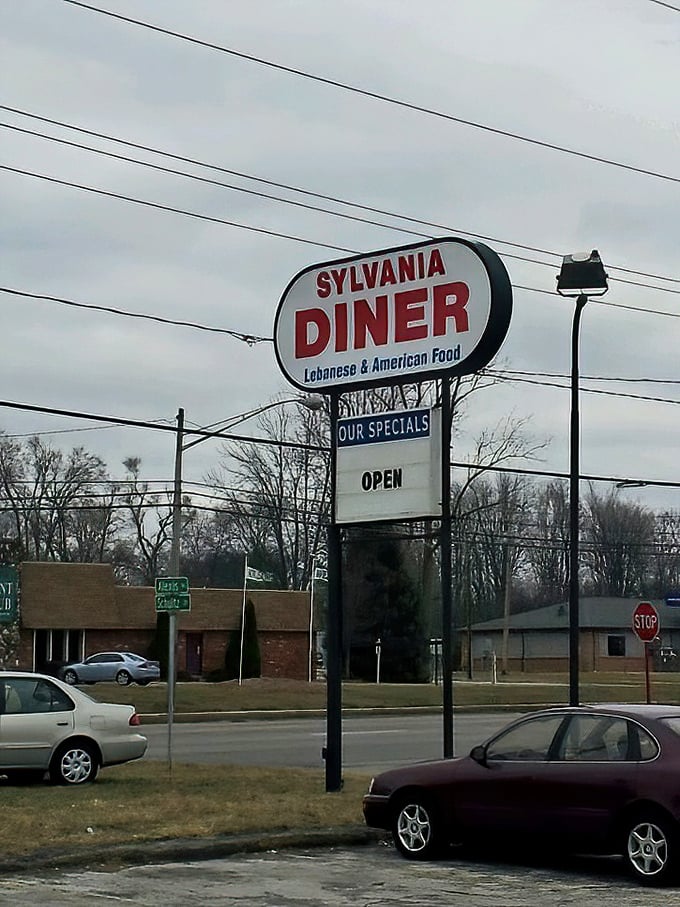 "Lebanese & American Food"—the sign promises a culinary duet that plays out deliciously on plates across Sylvania.