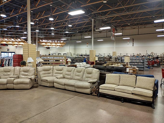 The couch section offers seating options for every style preference, from "grandma's formal living room" to "modern apartment on a budget."