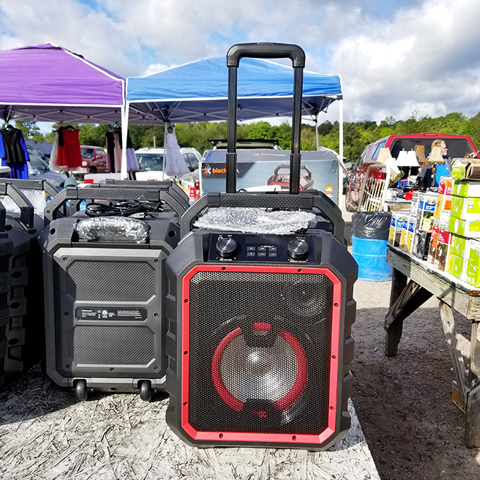 Portable party machines stand ready to amplify any gathering, their red speakers promising to turn quiet backyards into dance floors at the touch of a button.
