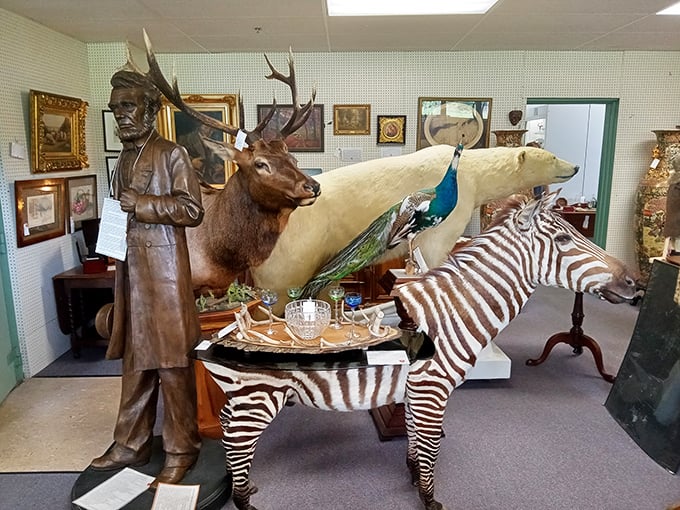 Taxidermy that turns shopping into a wild safari. That zebra isn't just mounted—it's serving as the world's most exotic side table in retail history.