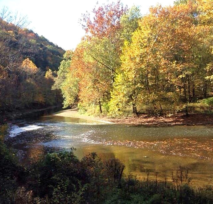 Oil Creek's golden waters reflect autumn's palette with such perfection you'll wonder if Mother Nature is just showing off for the locals.
