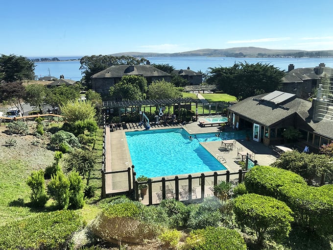 The Inn at the Tides doesn't just offer a pool – it offers the rare opportunity to swim while simultaneously watching actual tides roll in.