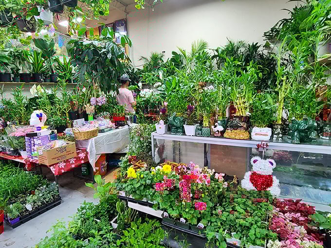 This plant oasis transforms concrete spaces into gardens where green thumbs flourish without overspending.