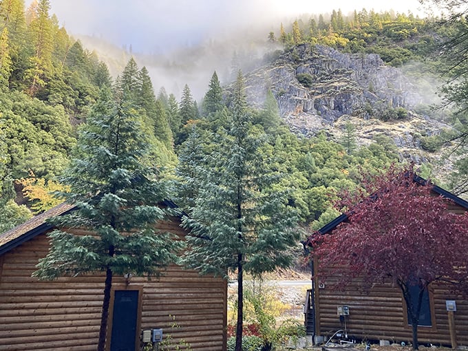 Log cabins nestled against misty mountains – where John Muir's spirit whispers and Instagram influencers frantically adjust their camera settings.
