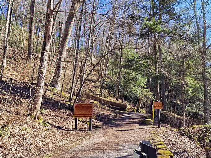 The path to natural wonder begins here. This well-marked trail invites exploration with the promise of cascading rewards just a short hike away.