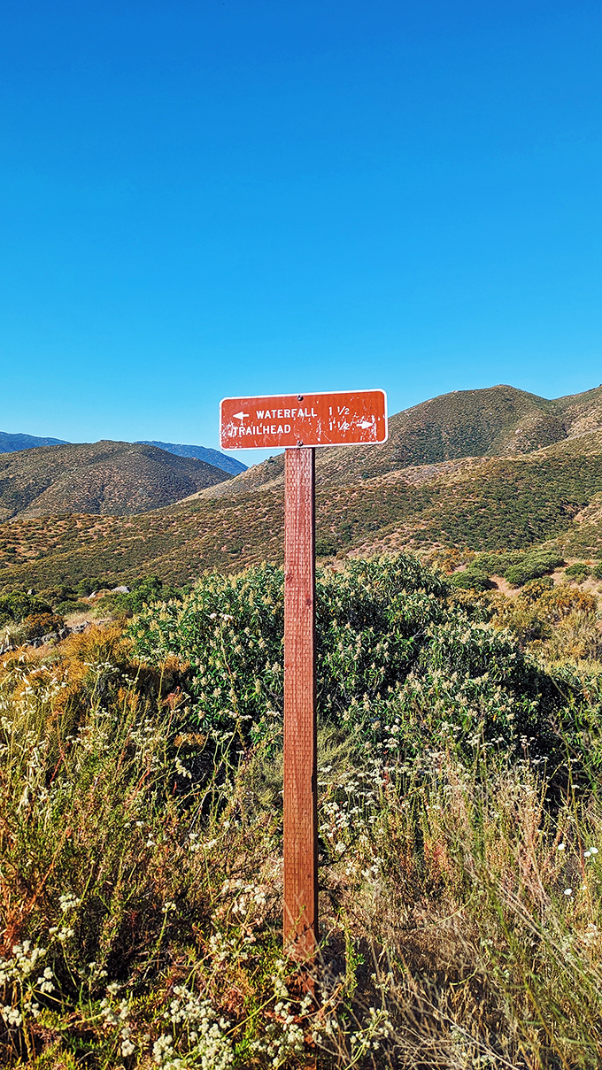 "Waterfall this way" – three words that instantly transform ordinary hikers into excited five-year-olds regardless of actual age or hiking experience.