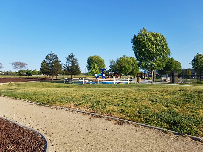 This unassuming park offers what expensive vacations can't – open space where families create memories against a backdrop of California blue skies.