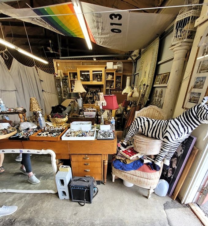 Organized chaos at its finest—complete with zebra. Every visit to this booth guarantees a different safari of discoveries.