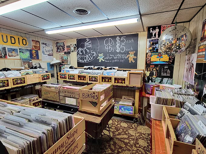 Vinyl heaven awaits music lovers who know that albums weren't just something you listened to—they were experiences you held in your hands.