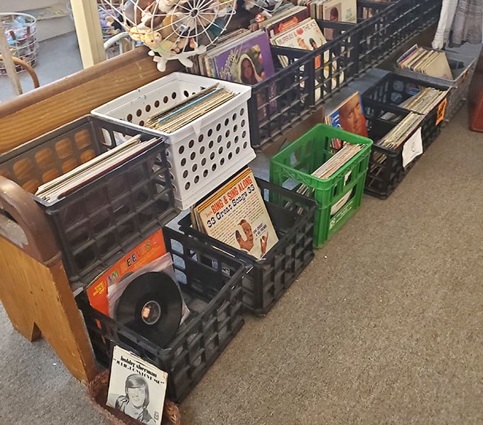 Vinyl treasures organized in milk crates—the original playlist. Album art and analog sound quality that Spotify can never replicate.