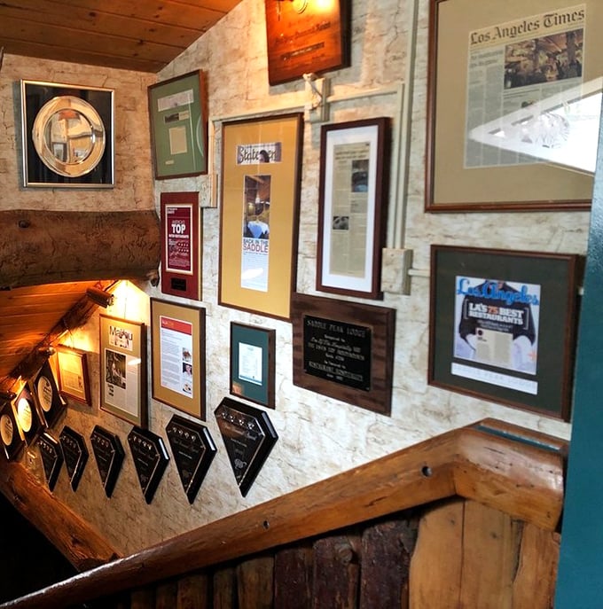 Awards don't lie—this wall of accolades tells the story of decades of culinary excellence. Each frame represents thousands of happy diners.