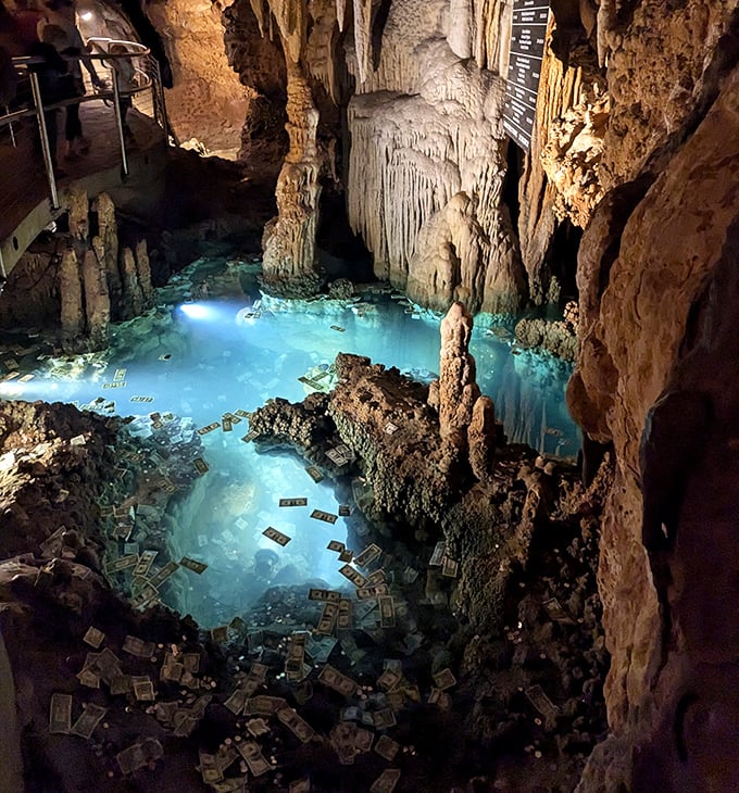Not your average wishing well – this underground pool collects dreams, dollars, and the occasional "I can't believe we're really here" gasp.
