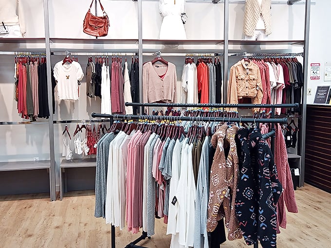 Clean lines and thoughtful organization make browsing a pleasure rather than a treasure hunt through chaos.