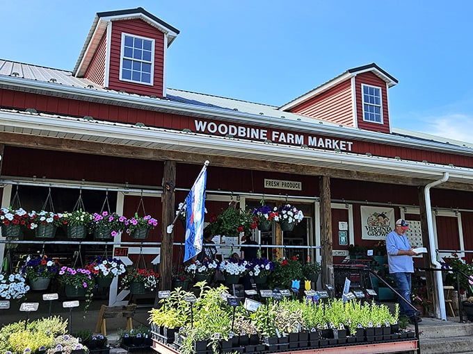 Woodbine Farm Market bursts with colorful flowers and fresh produce. Farm-to-table isn't a trend here—it's simply how things have always been done.