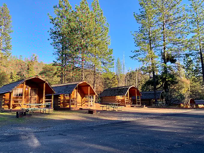 These rustic cabins at Yosemite Pines offer the perfect compromise between camping and comfort—like wilderness with a good night's sleep included.
