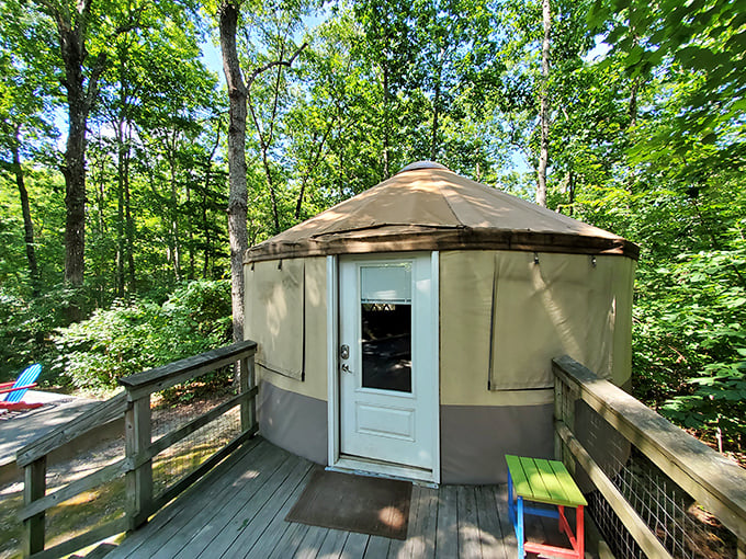 Not your average hotel room – the park's yurts offer glamping with a view and a perfect middle ground between tents and cabins.