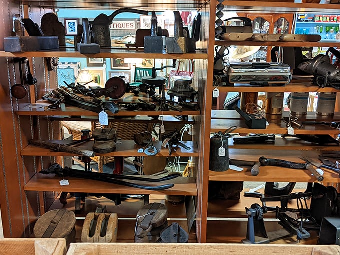 Tools with tales to tell—each worn handle and patinated surface represents craftsmanship from an era when things were built to last.