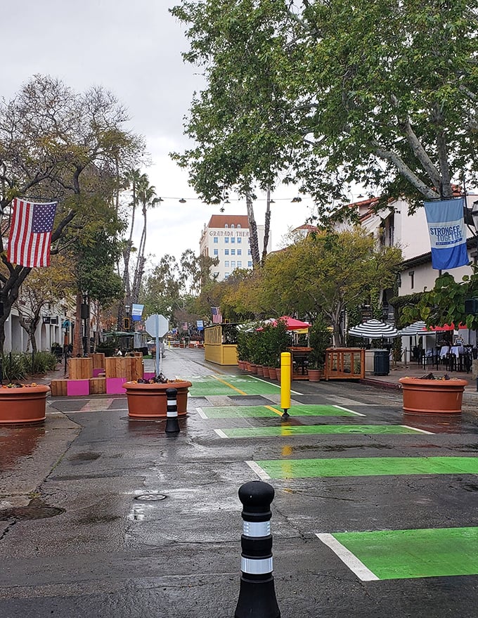 Even rainy days look inviting on State Street's pedestrian promenade. Colorful planters and outdoor dining spaces have transformed downtown into a walker's paradise.