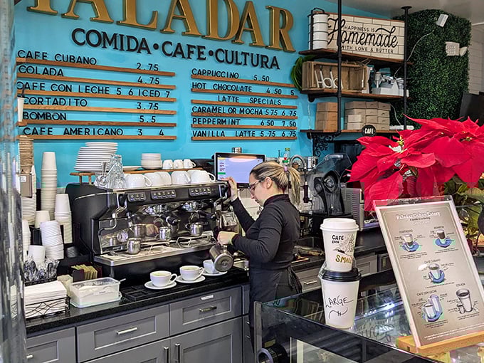 Behind that turquoise wall, baristas craft liquid happiness, proving that coffee isn't just a drink – it's a warm, caffeinated hug.