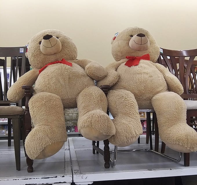 These teddy bears have seen things. Now they're just looking for someone new to love, preferably someone who doesn't eat peanut butter sandwiches in bed.