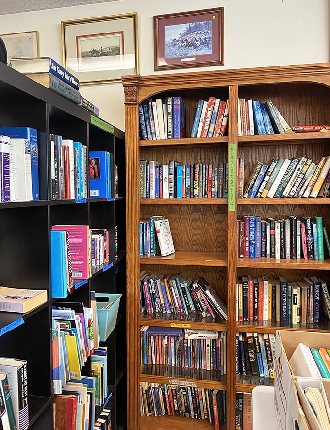 Bookshelves where Stephen King rubs spines with Julia Child—literary neighbors creating the most fascinating fictional dinner party imaginable. 