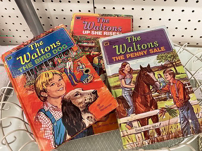 The Waltons books—childhood nostalgia in literary form. Before streaming, these stories transported us to Walton's Mountain.