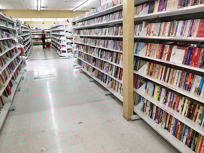 The book section – a library without late fees where literary adventures cost less than a fancy coffee and last infinitely longer.