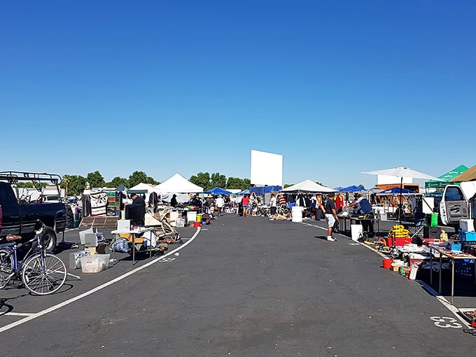 The early bird gets the best finds – morning shoppers scan the horizon of possibilities before the midday heat intensifies.