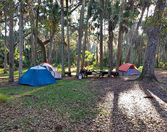 Camping under Hontoon's canopy is like having the world's most exclusive outdoor hotel room, with stars providing the ceiling.