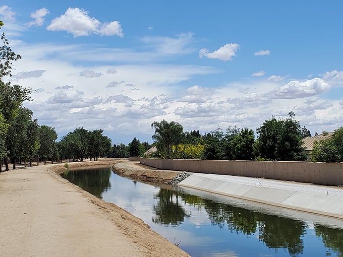 The canal trail system offers peaceful water views and flat walking paths—nature's gift to anyone with new knees.