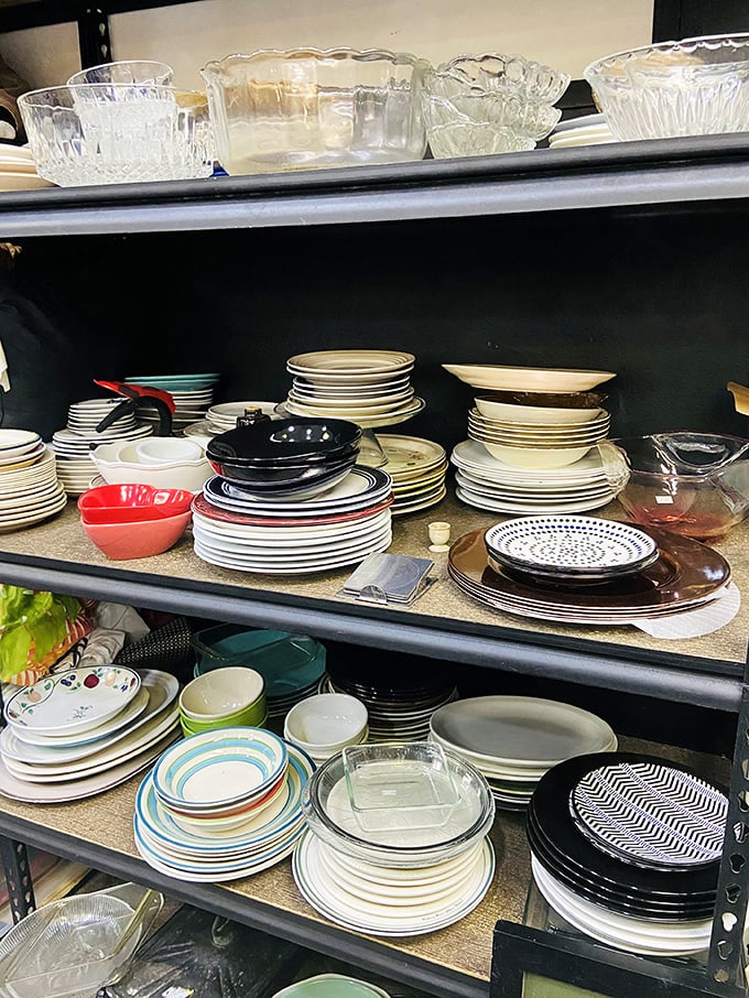 Dish-covery zone! These stacks of plates span decades of dining trends—from minimalist white to grandma-approved patterns that make meatloaf taste better.