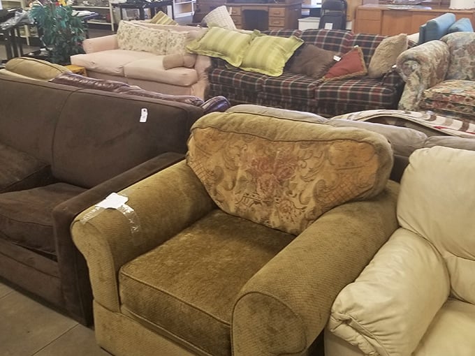 The couch collection—where mid-century meets country cottage in a comfortable conversation about the meaning of "vintage."