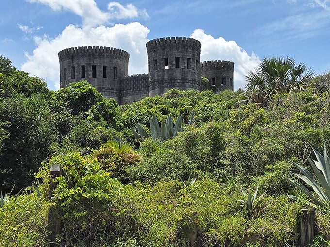 The castle emerges from tropical vegetation like a fever dream—part medieval Europe, part Florida fantasy, entirely captivating.