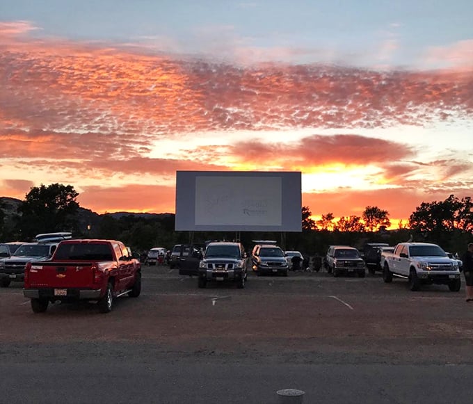 A lineup of trucks and SUVs assembled like faithful audience members, their headlights respectfully dimmed as they face the evening's entertainment.
