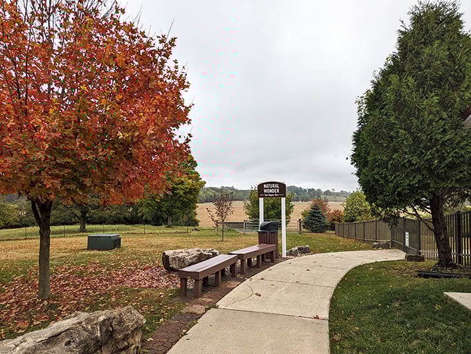 Fall colors frame the pathway to subterranean adventures, proving Ohio knows how to set the stage for natural drama.