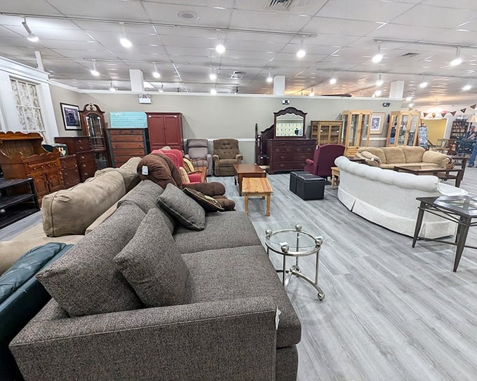 Couches and sectionals lounging casually, as if at a furniture cocktail party waiting for their forever homes.