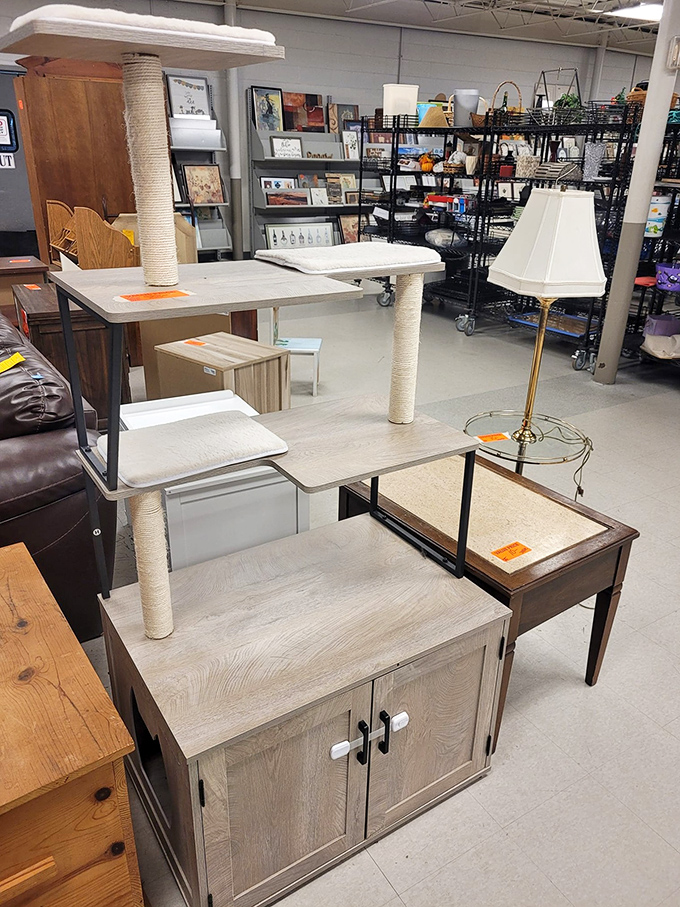 Pet paradise meets furniture finds in this eclectic corner. That cat tower might be pre-loved, but your feline won't know the difference—only your wallet will.