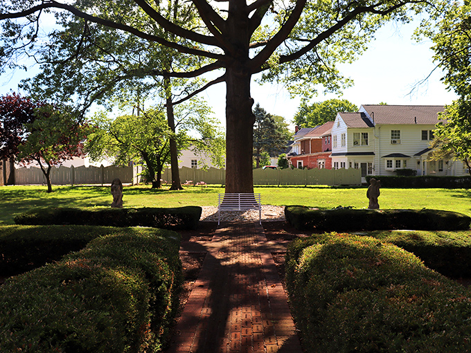 The garden path invites contemplation under the watchful eye of a magnificent tree that's seen generations of visitors come and go.
