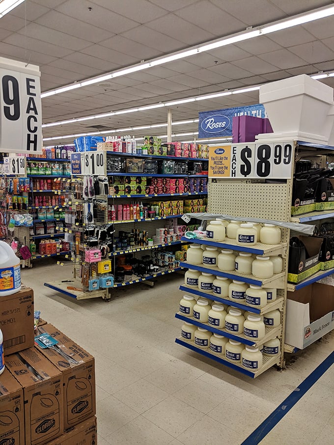 The health and beauty aisle—where self-care meets sensible spending, proving looking good doesn't have to cost a fortune.
