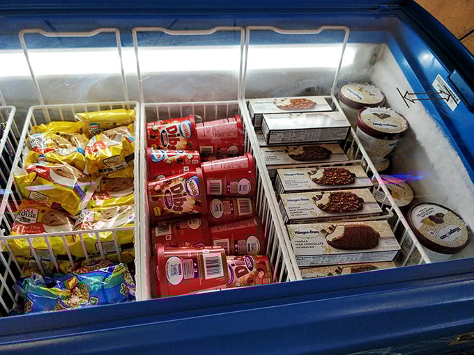 The freezer case – where ice cream dreams and frozen necessities live together in perfect harmony, ready for the Texas heat outside.