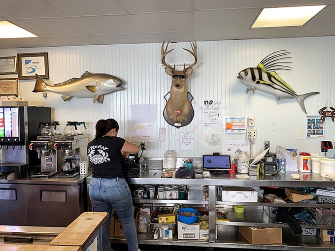 Where deer heads and fish mounts coexist in perfect harmony – a uniquely Virginia Beach blend of land and sea that somehow makes perfect sense.