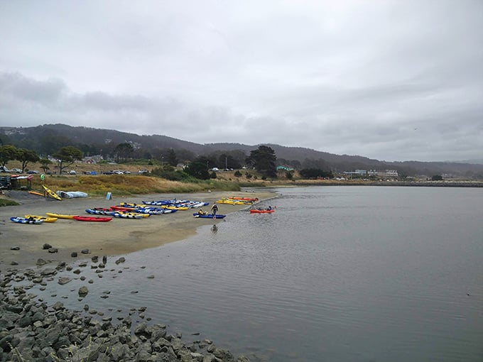 Colorful kayaks wait patiently for adventure-seekers to explore Half Moon Bay's gentler waters on this misty coastal morning.