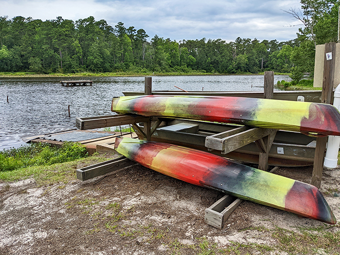 Colorful kayaks waiting patiently for adventure—like tropical fish beached on shore, ready to return to their natural habitat.