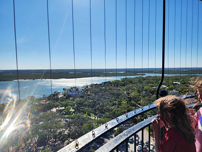 Young explorers discovering that the best views in Florida don't require a resort booking—just comfortable shoes and a willingness to climb.