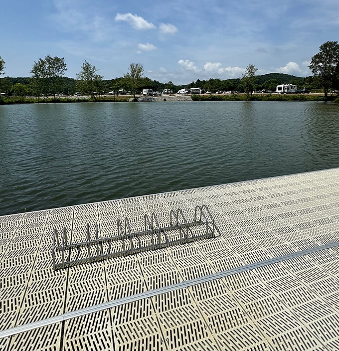 Lakeside living isn't just a luxury here—it's Rockwood's everyday reality, where fishing, swimming, and pontoon puttering are practically civic duties.