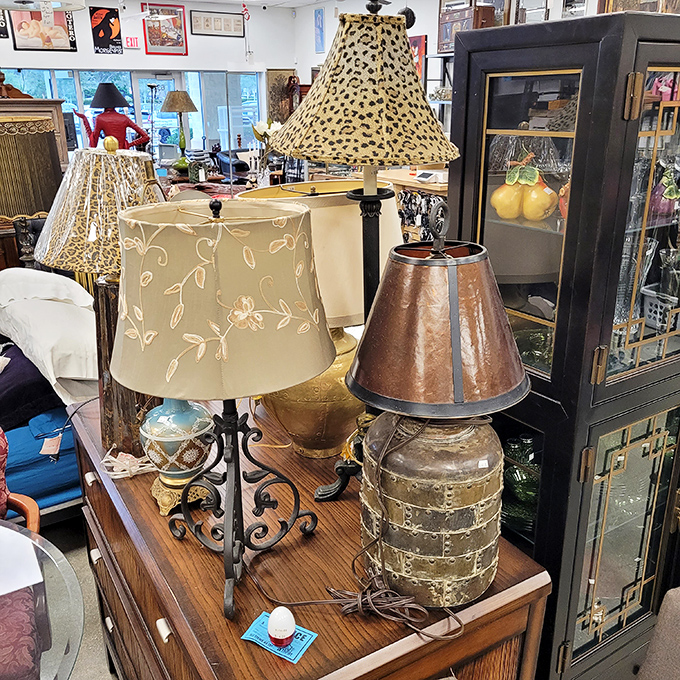 Lampshade personalities on full display—from leopard print divas to understated elegance, your perfect reading light awaits.