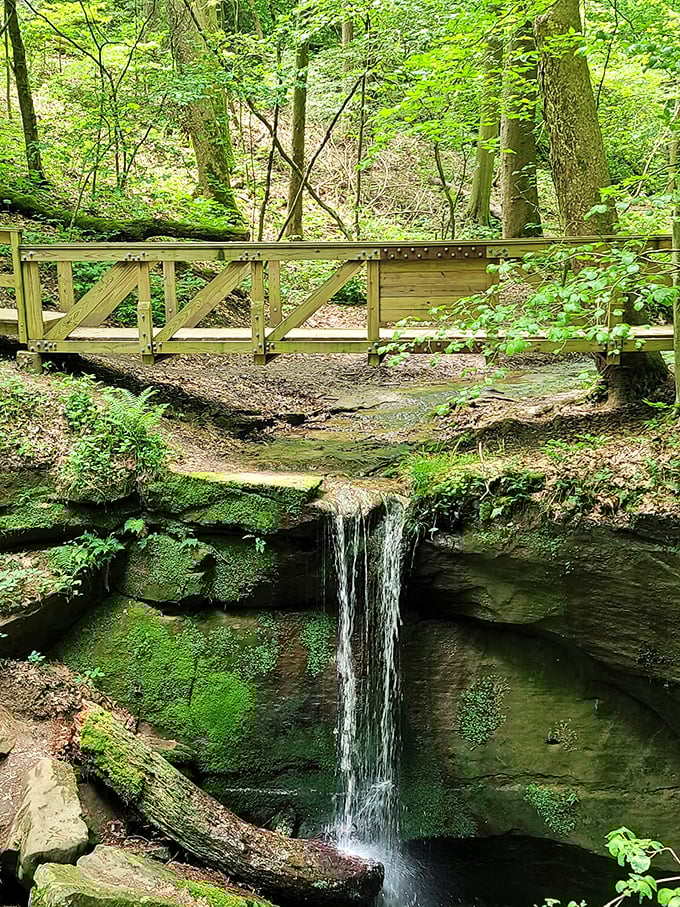 Little Falls proves that size isn't everything—this delicate cascade creates a peaceful soundtrack that expensive meditation apps try desperately to replicate.