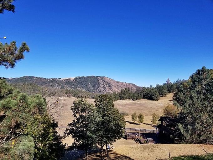 Julian's surrounding landscape offers the kind of panoramic mountain views that make smartphone cameras feel wholly inadequate.